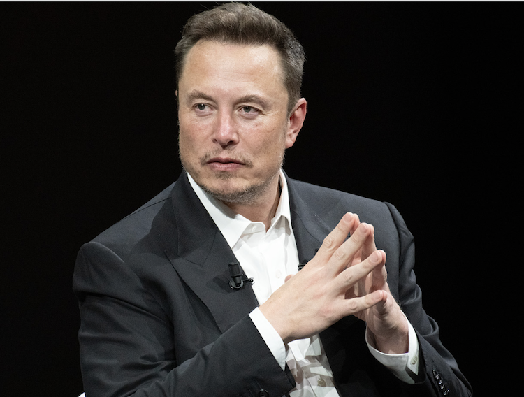 Elon Musk's DOGE Says It Has Terminated 22 Federal Leases - Three | E ...